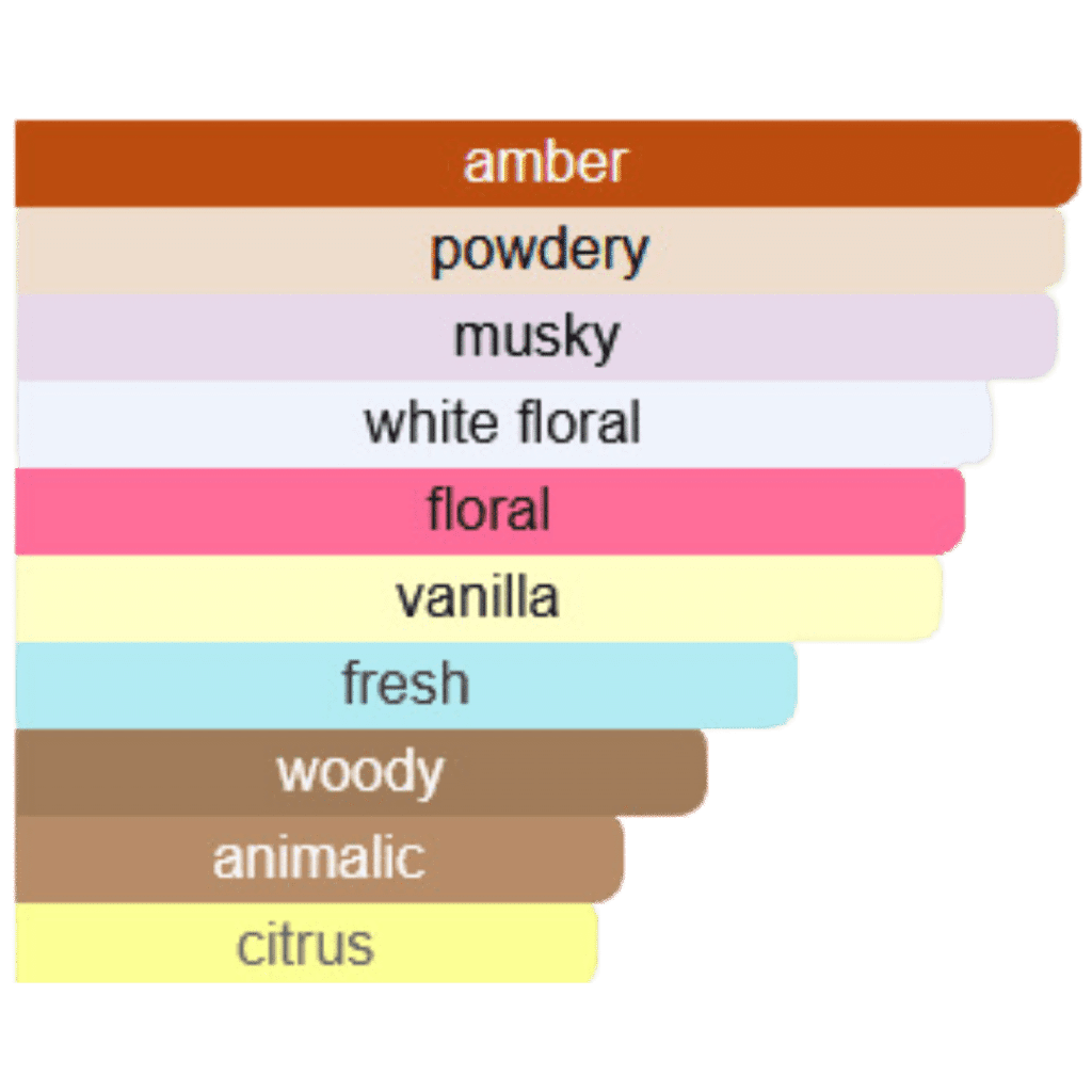 Kylie Jenner Cosmic Review: Is Cosmic Out Of This World? 2024