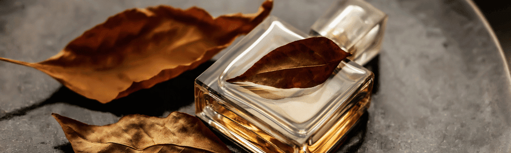 5 Best Fall Fragrances For Men: Reviewed