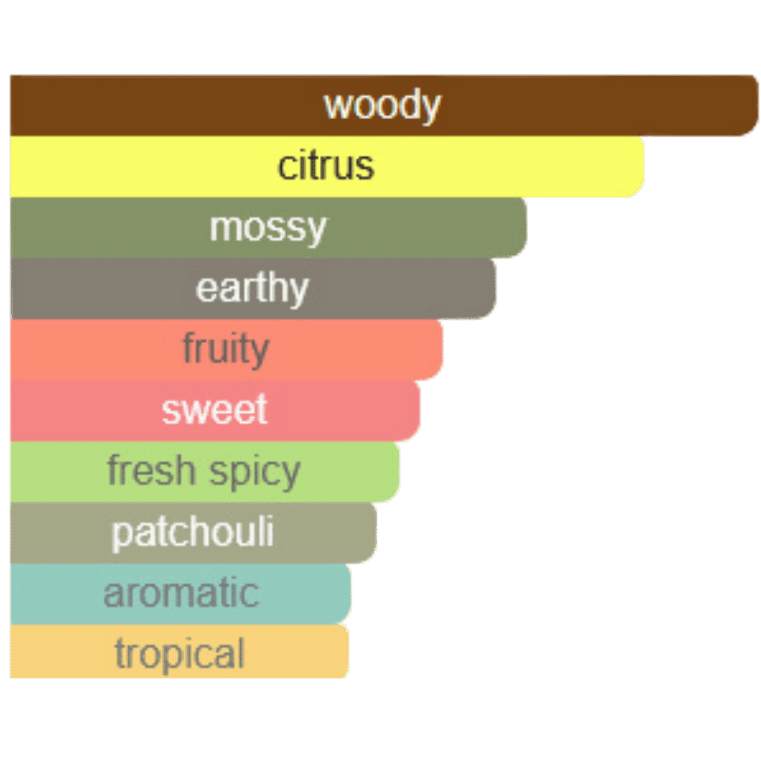 Nishane Hacivat Vs Rasasi Hawas Black: Can The Dupe Deliver? 2025