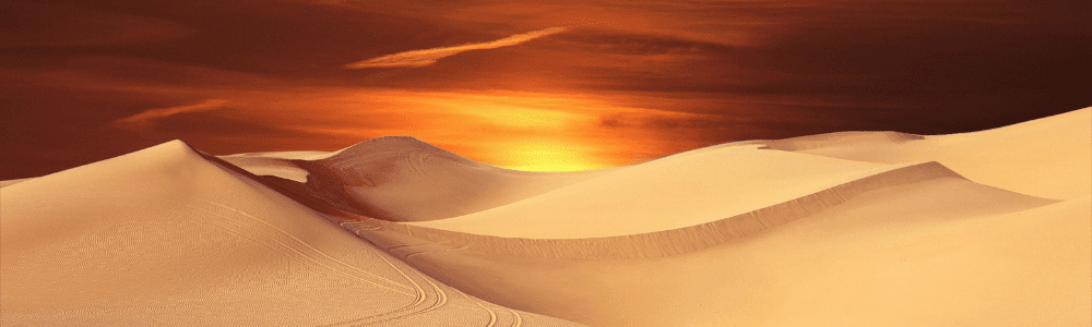 Montale Arabians Tonka Review: Because Subtlety Is Overrated